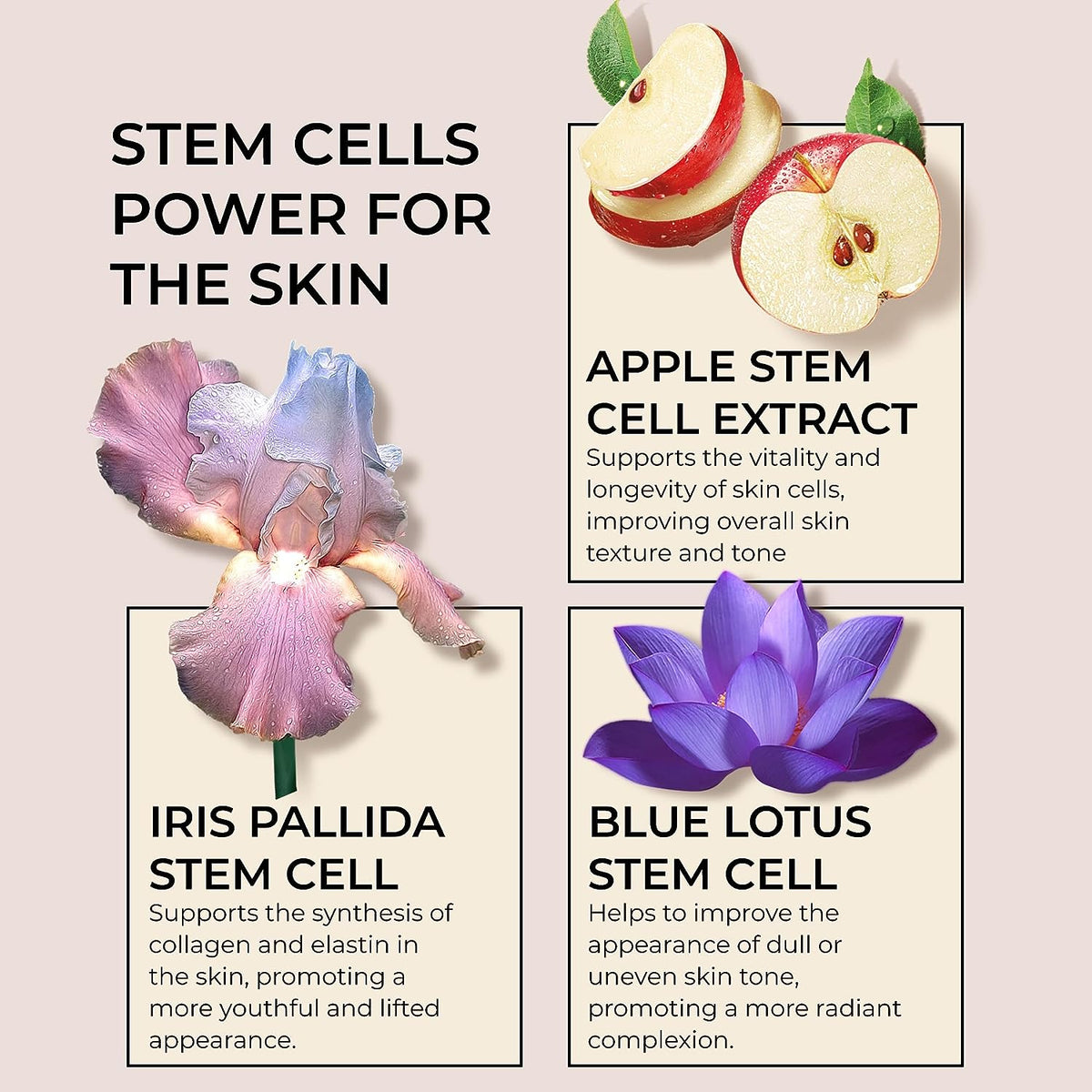 Rejuvenating and Anti-Aging Collagen Face Moisturizer with Stem Cells